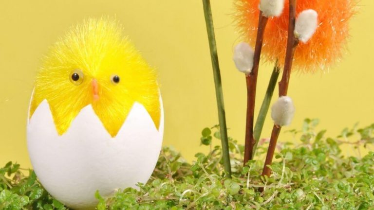 How to Make a Paper Chick - K4 Craft Community