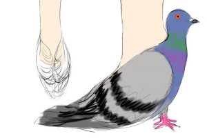 Woman shoes made in the form of pigeon [Tutorial] - K4 Craft